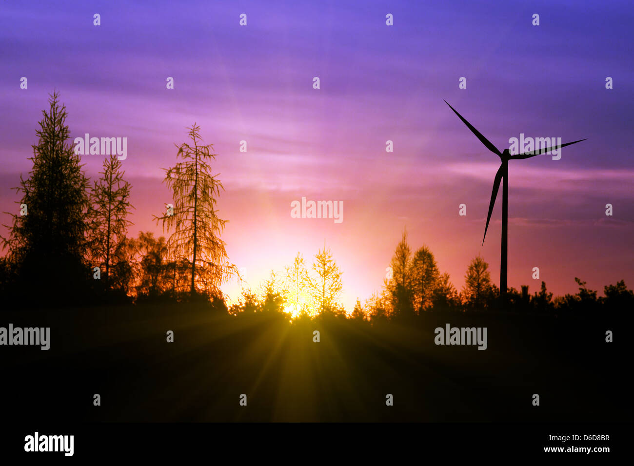 Sunrise over the forest Stock Photo - Alamy