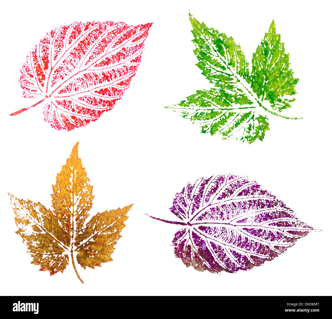 Hop leaves, painting Stock Photo - Alamy