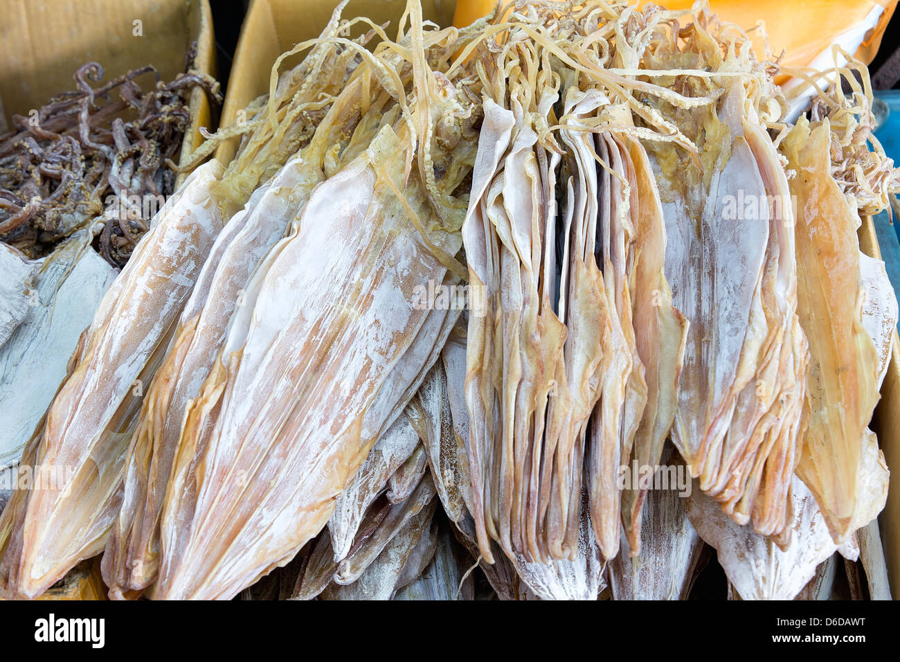 Sun Dried Cuttlefish on Display at Southeast Asian Wet Market Stock ...