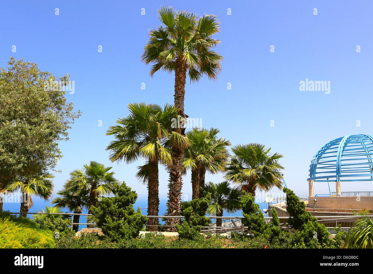 Middle east garden hi-res stock photography and images - Alamy