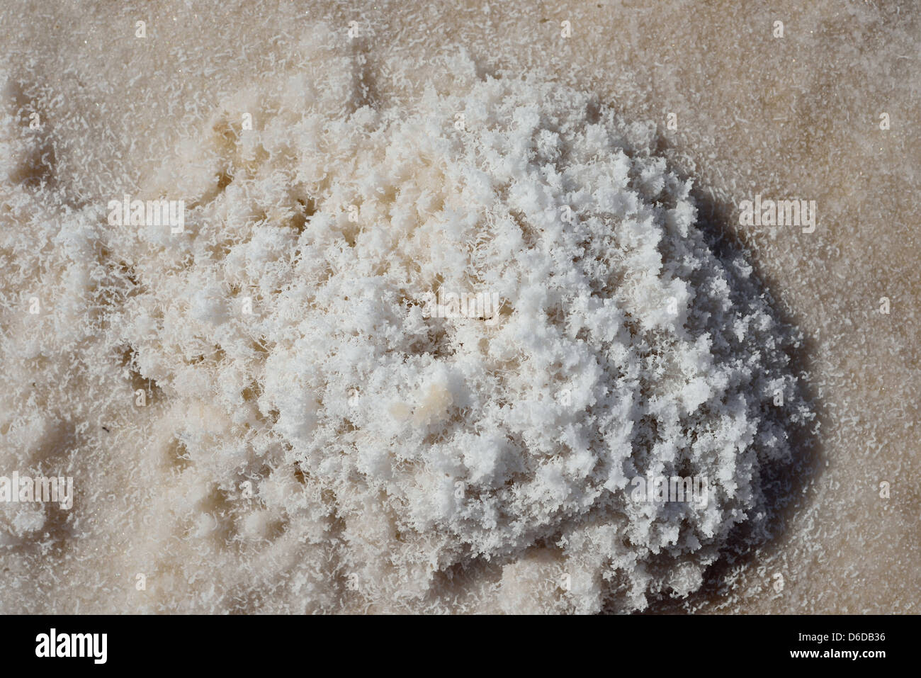 White crystals of halite salt at Badwater Basin. Death Valley National ...