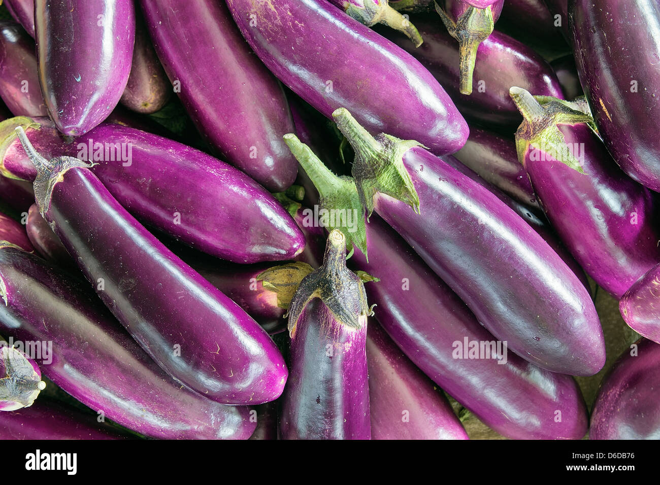 What Is Brinjal Fruit Or Vegetable at Nancy Hutchinson blog