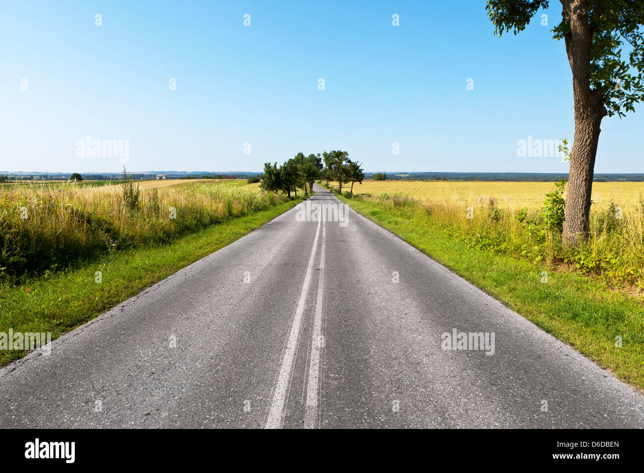 A long road Stock Photo - Alamy