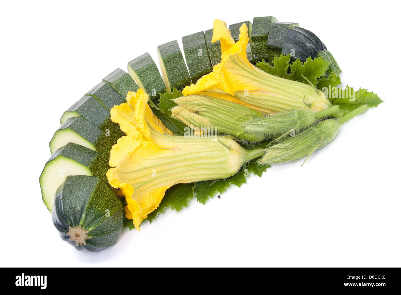 Vegetable marrow is cut on segments Stock Photo - Alamy