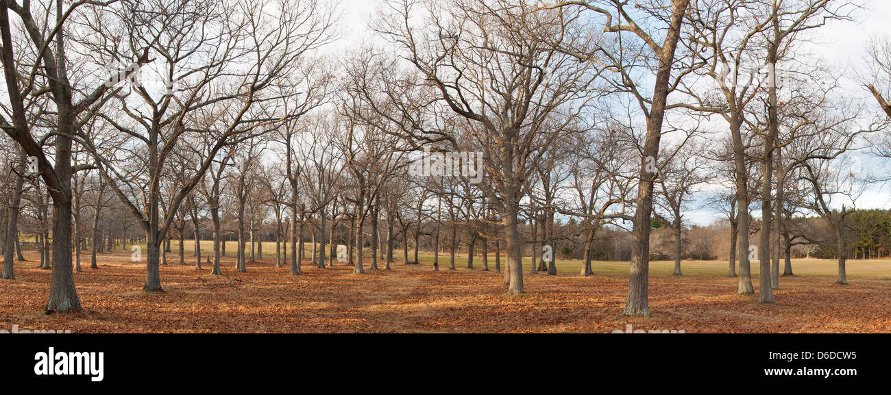 Panorama of the Appleton Farms & Grass Rides in Ipswich, Massachusetts ...