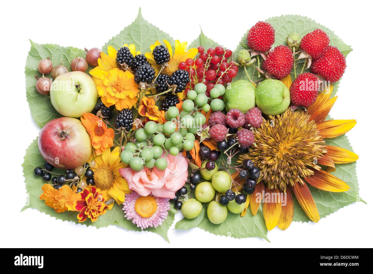 Summer fruits mix Stock Photo - Alamy