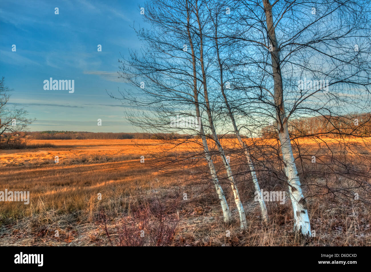 The Rough Meadows Wildlife Sanctuary in Rowley, MA is jointly managed ...