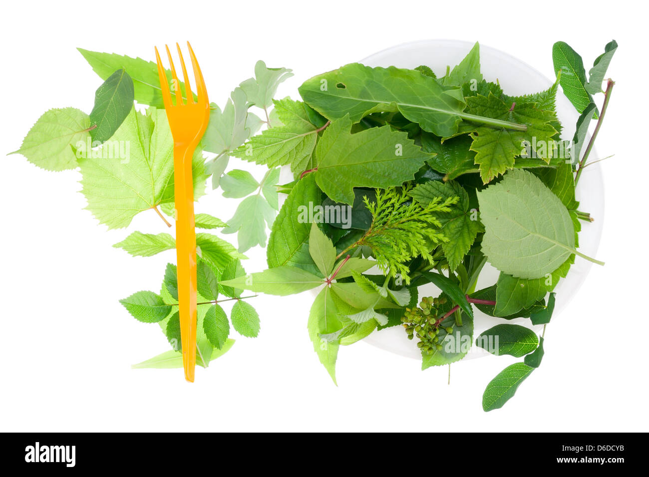 Healthy food is a leaves Stock Photo - Alamy
