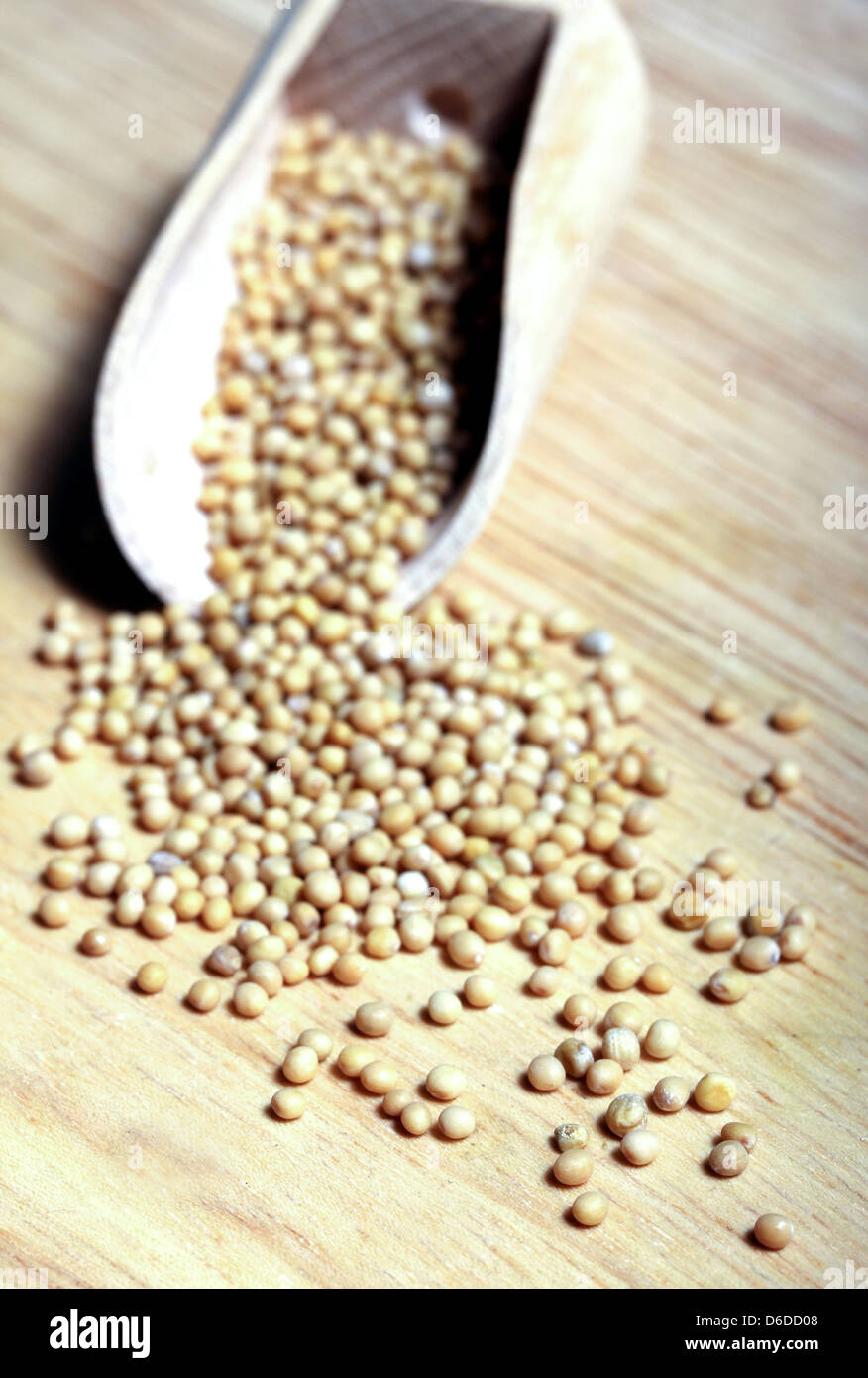 Moutarde grains hi-res stock photography and images - Alamy