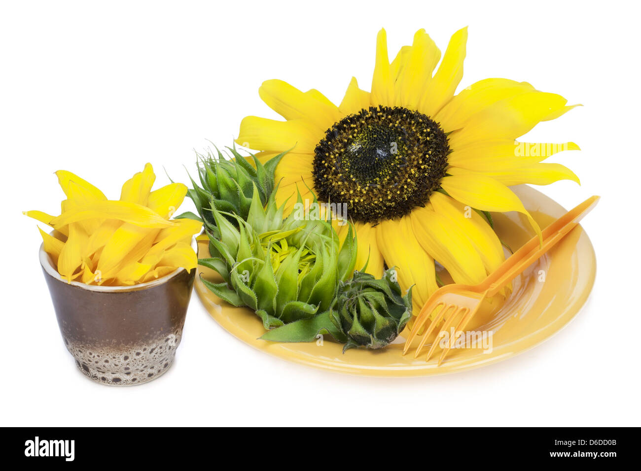 Yellow green nature Cut Out Stock Images & Pictures - Alamy