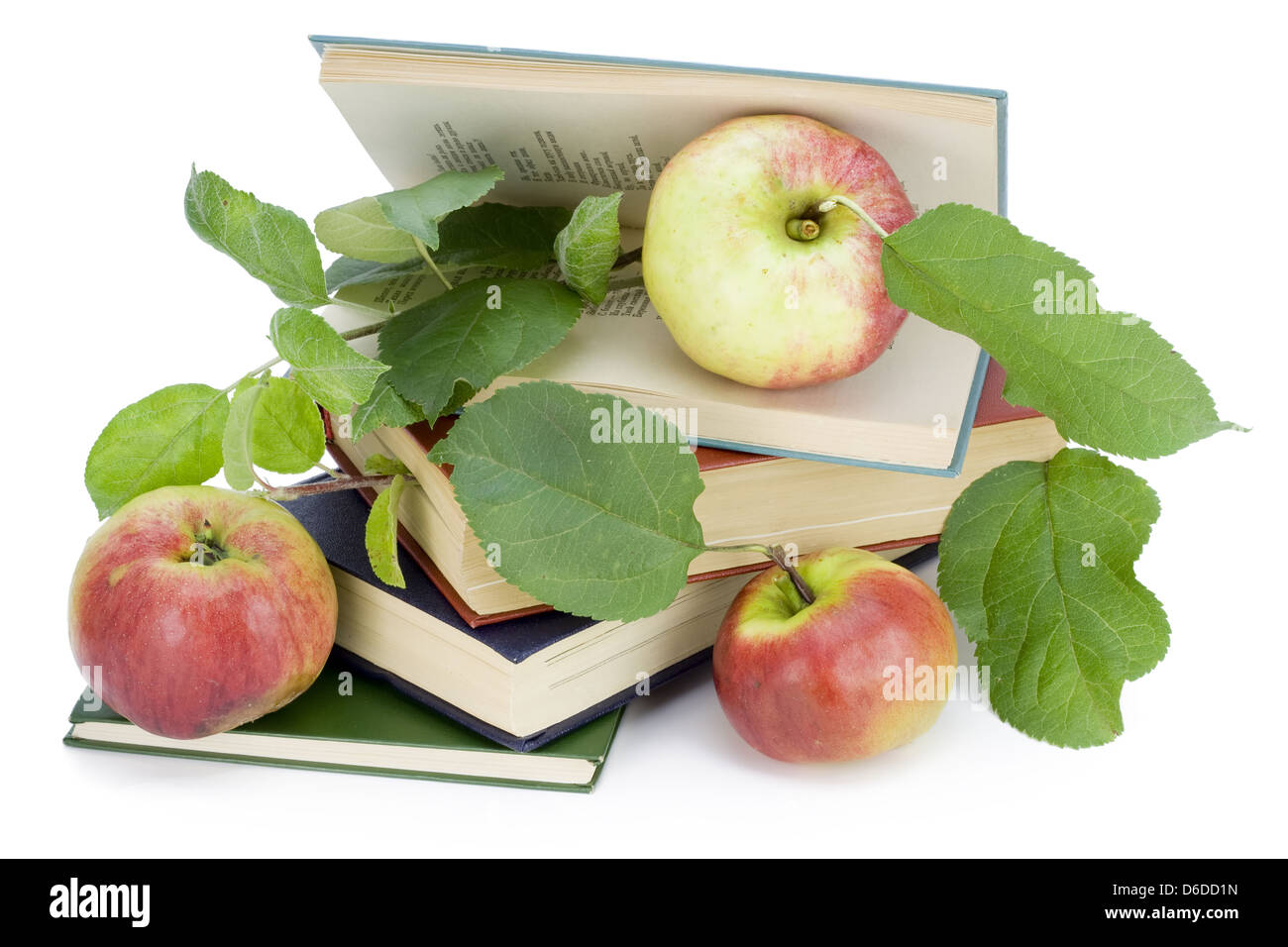 Fresh learning Cut Out Stock Images & Pictures - Alamy