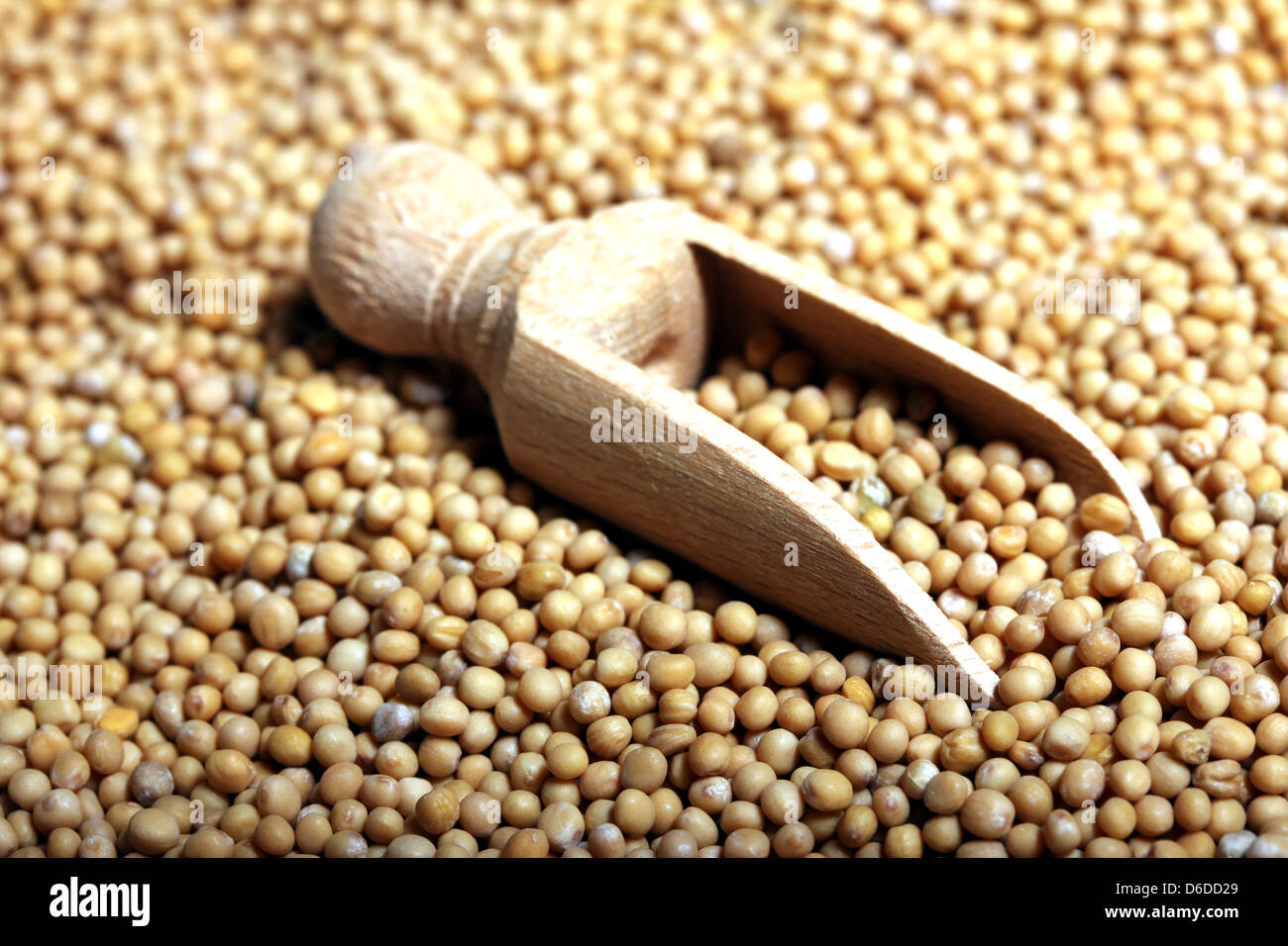 Moutarde grains hi-res stock photography and images - Alamy