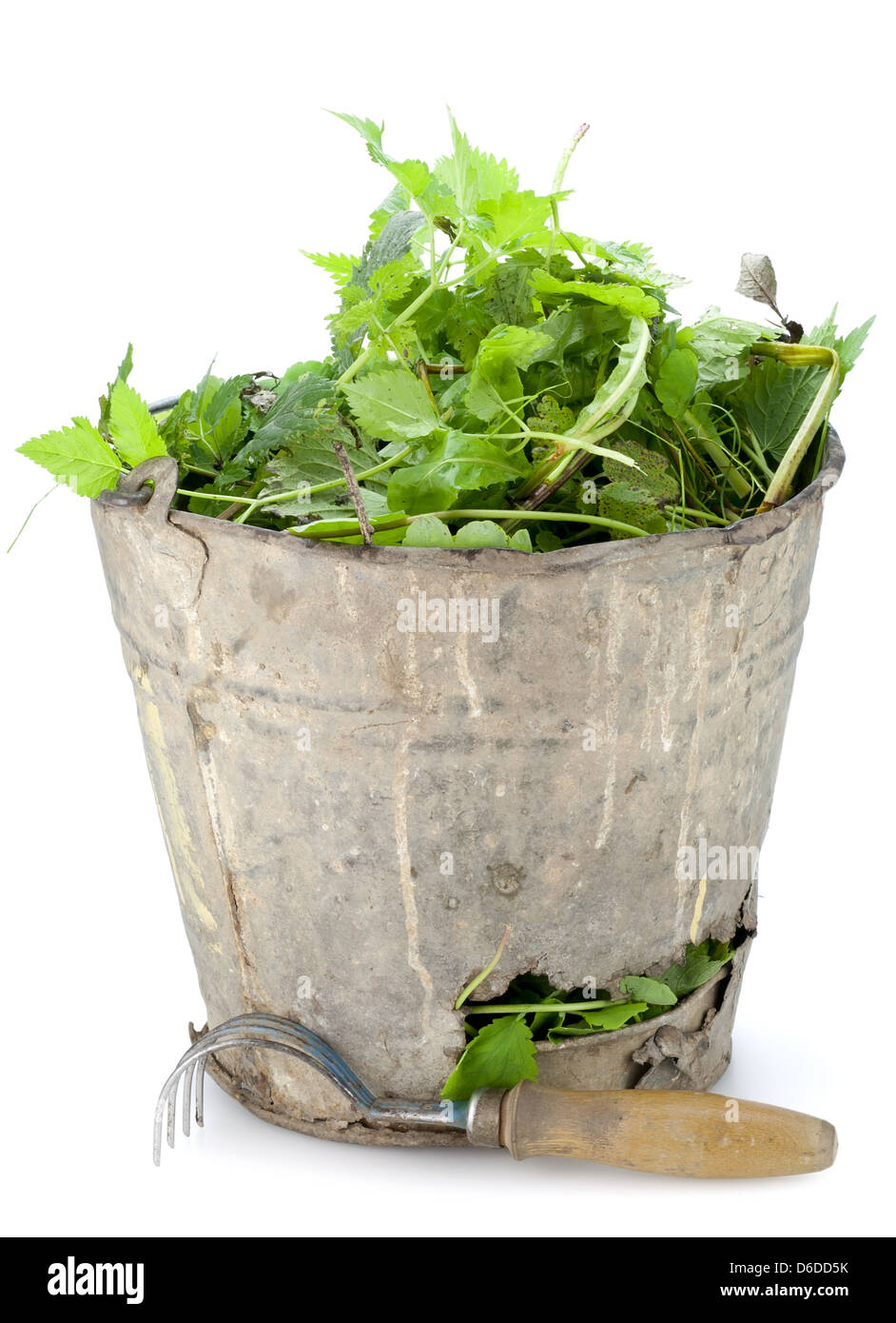 Full old Cut Out Stock Images & Pictures - Alamy