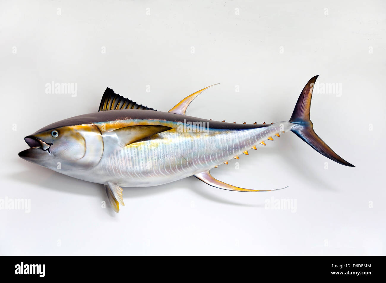 Fish home decoration Stock Photo - Alamy