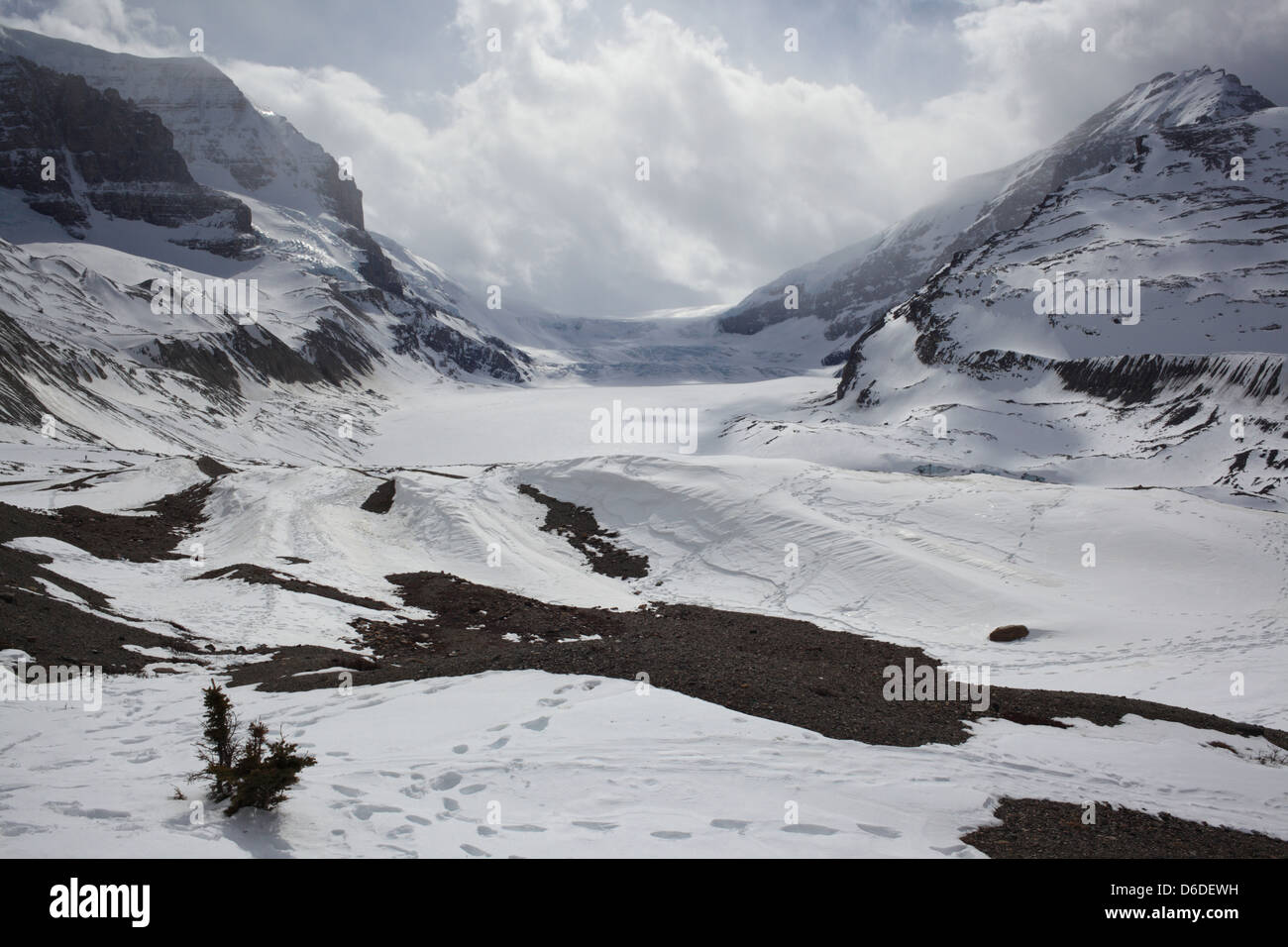 Athabasca Glacier and the Columbia Icefield (Jasper National Park Stock ...