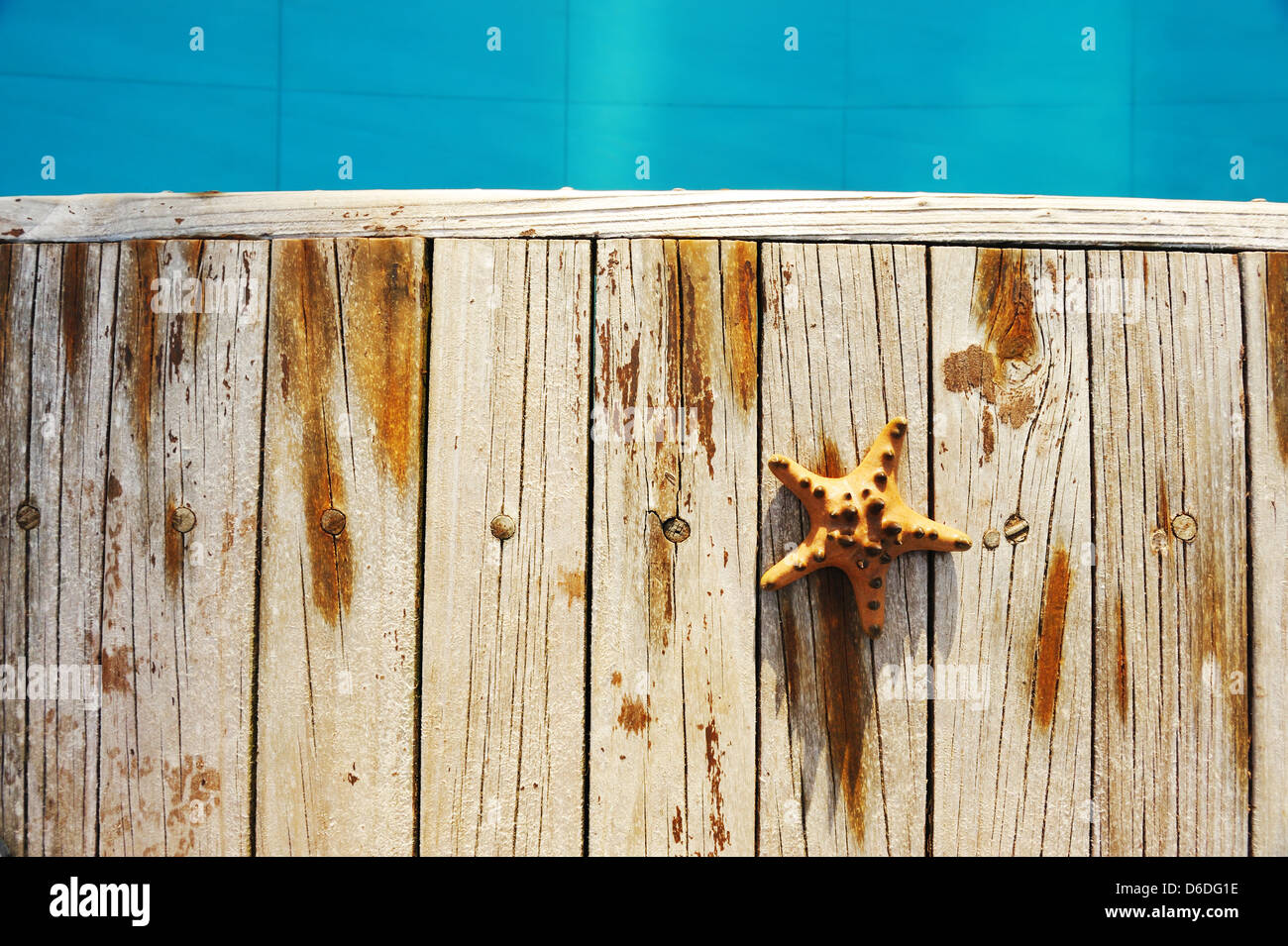 Starfish by a swimming pool Stock Photo - Alamy