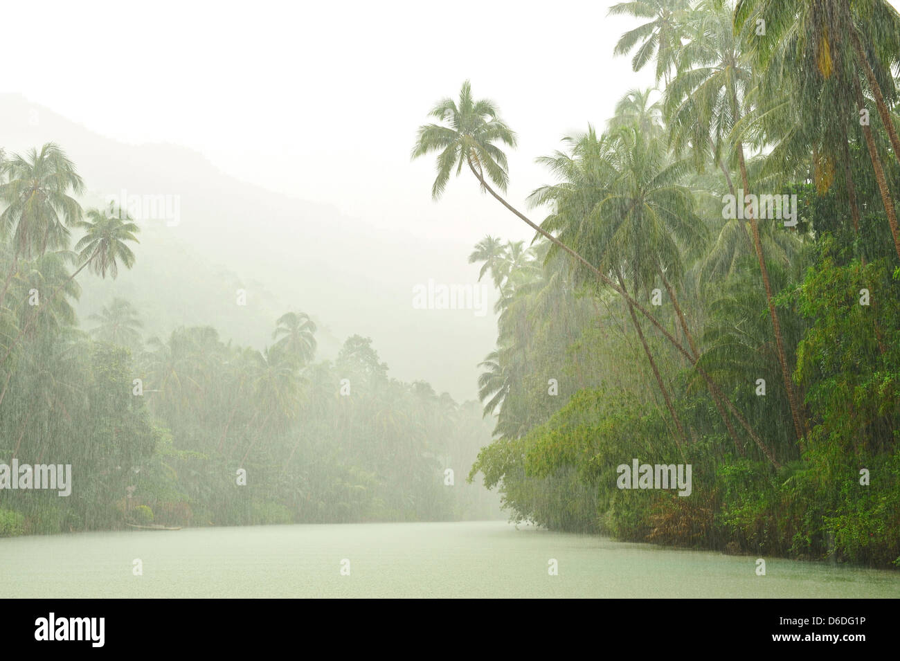 Tropical rain above river Stock Photo - Alamy