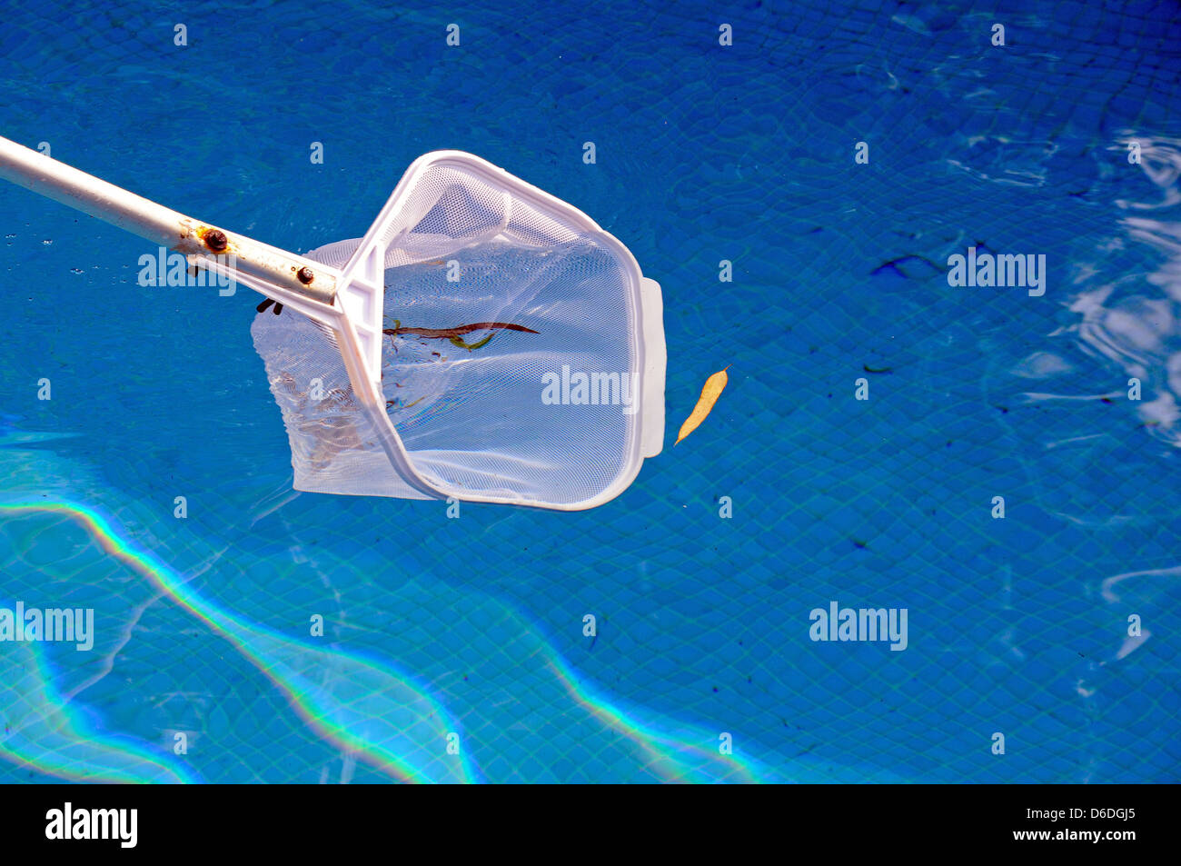 Scoop net hi-res stock photography and images - Alamy