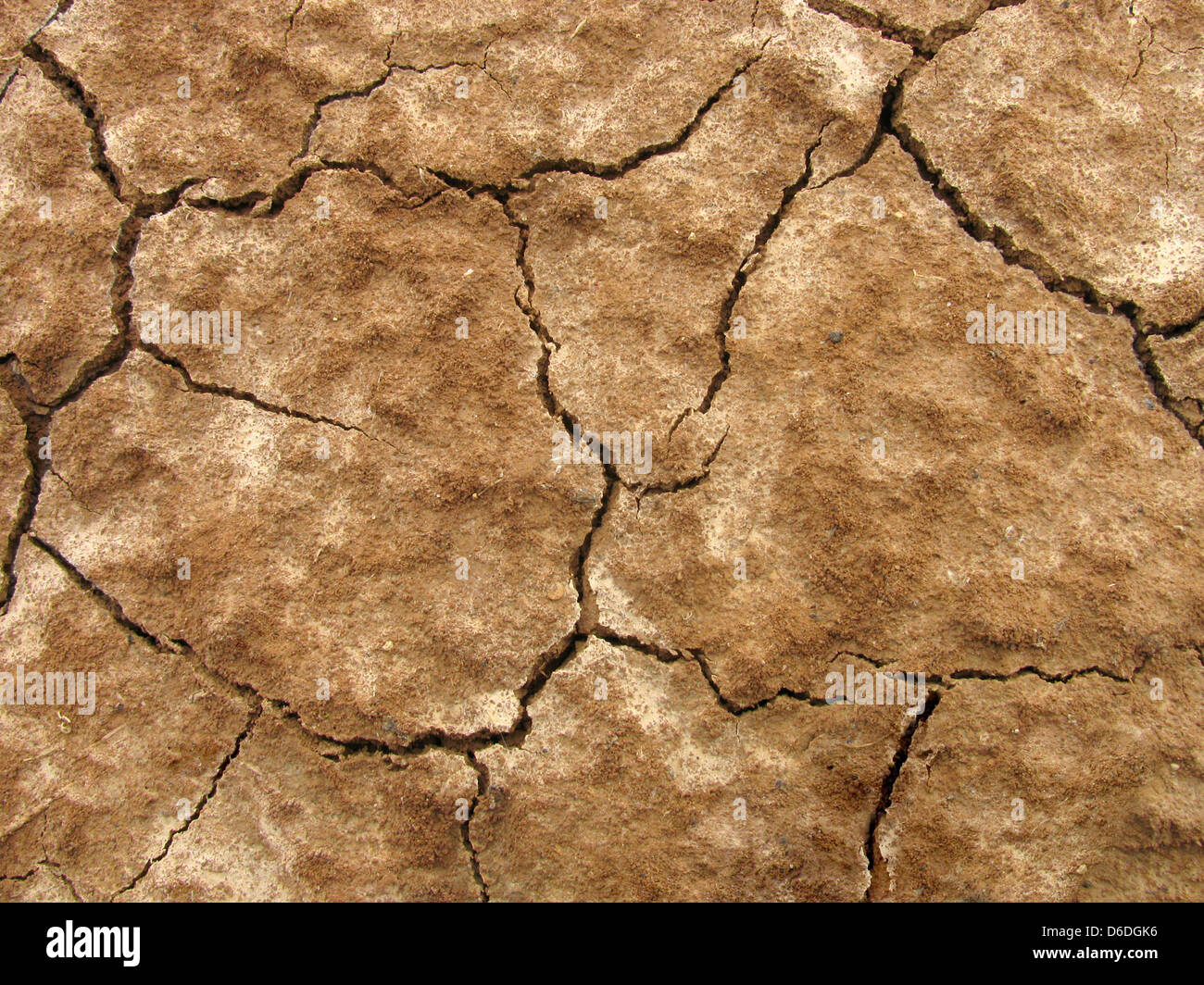 Earth fissures hi-res stock photography and images - Alamy