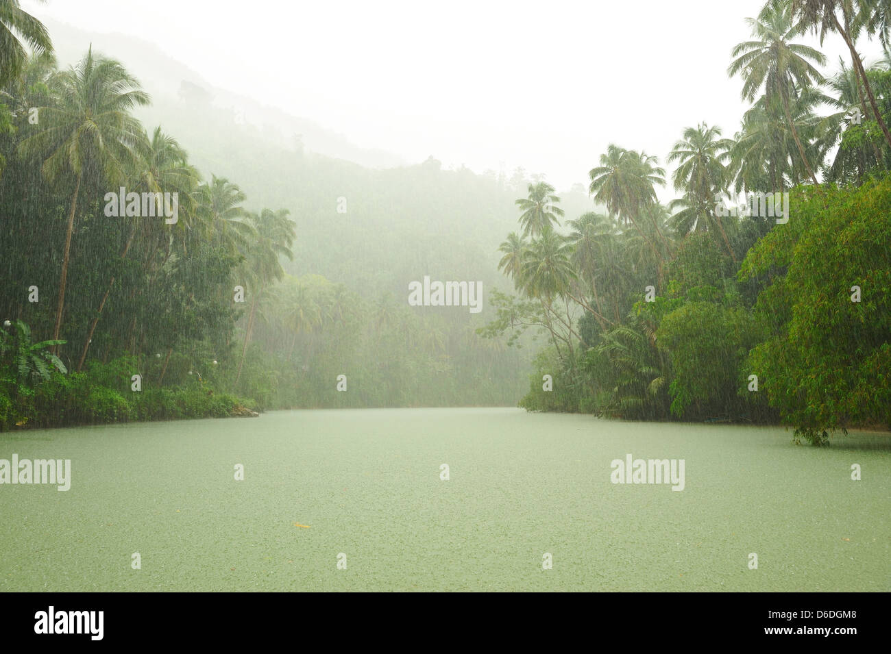 Tropical rain above river Stock Photo - Alamy