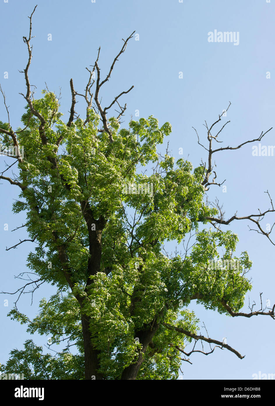 File â an archive photo dated 27 hi-res stock photography and images ...