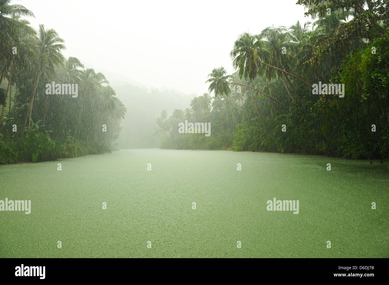 Tropical rain above river Stock Photo - Alamy