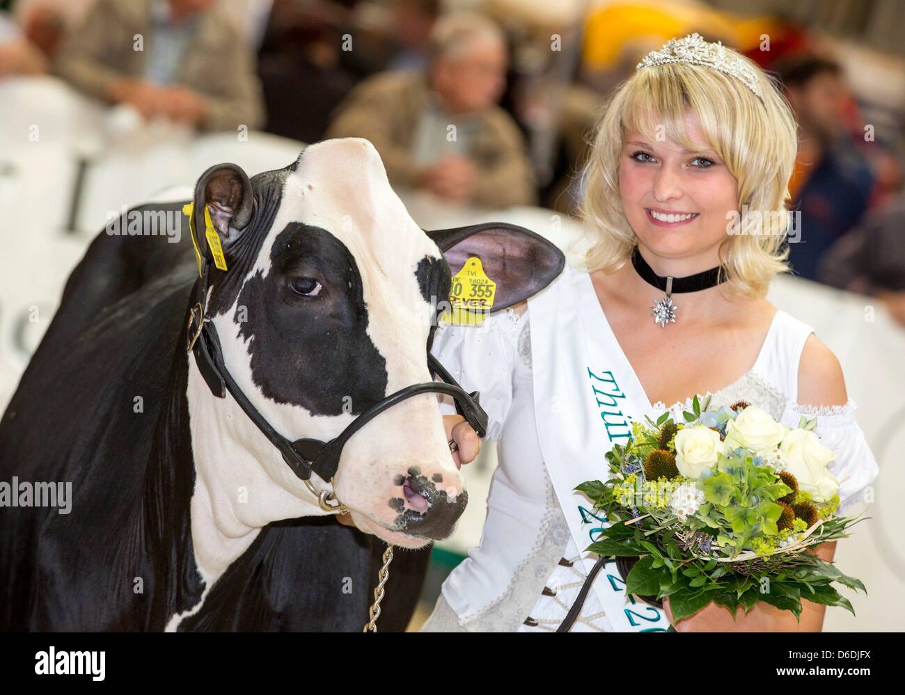 Newly elected Milk Queen Annemarie Stoye is pictured next to a milk cow ...