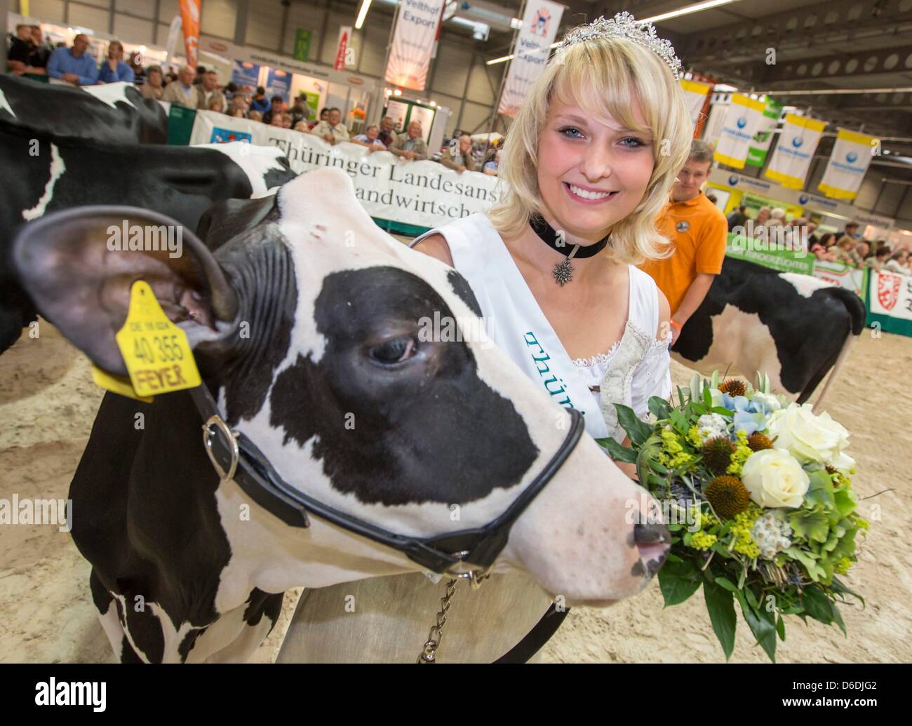 Newly elected Milk Queen Annemarie Stoye is pictured next to a milk cow ...