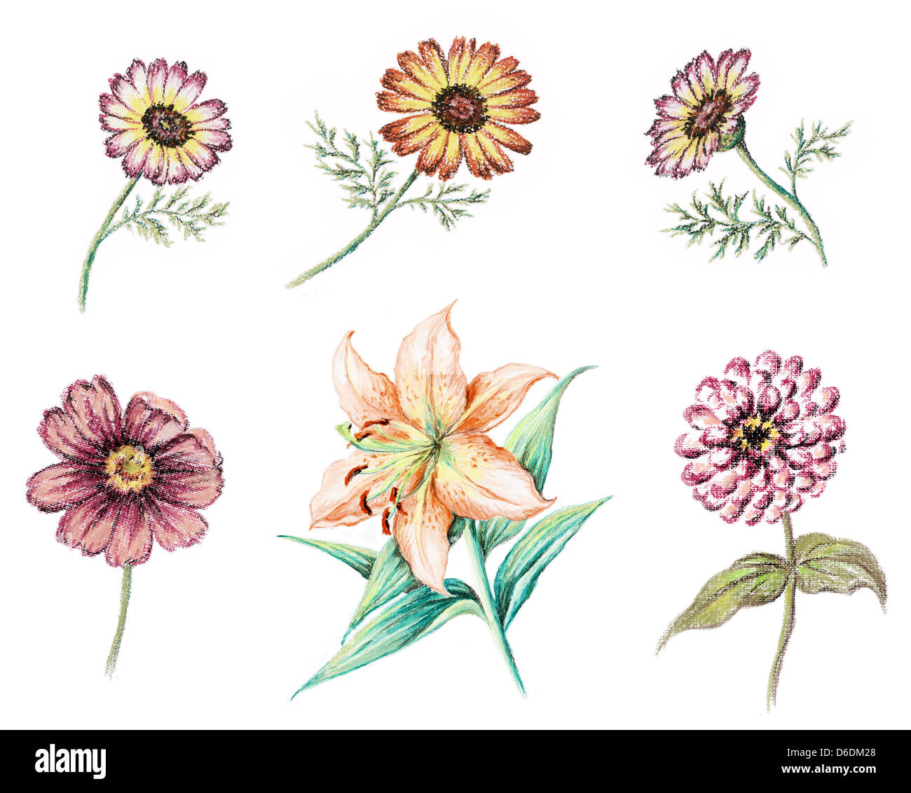 Pastel flowers hand draw Cut Out Stock Images & Pictures - Alamy