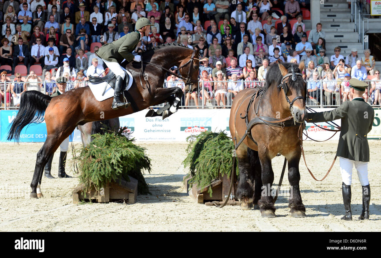 A rider jumps over an obstacle during the stallion parade at State Stud ...