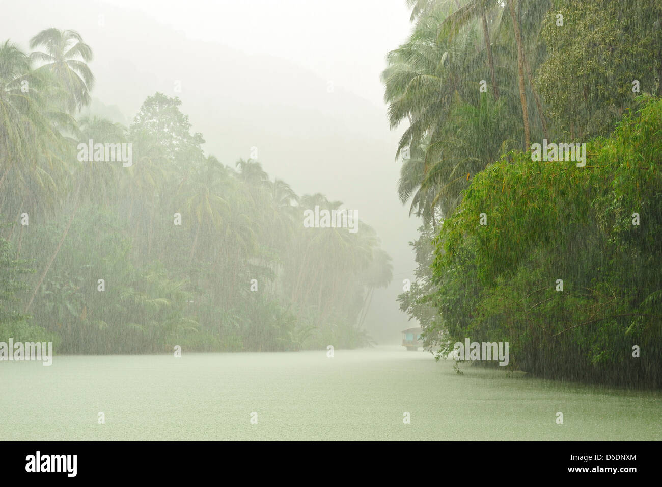 Tropical rain above river Stock Photo - Alamy