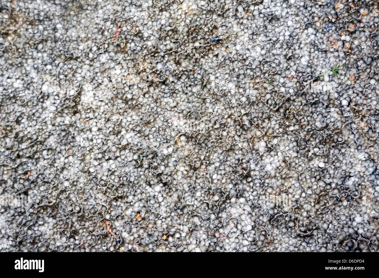 Melting Hailstones After Hailstorm Surrey England Stock Photo - Alamy