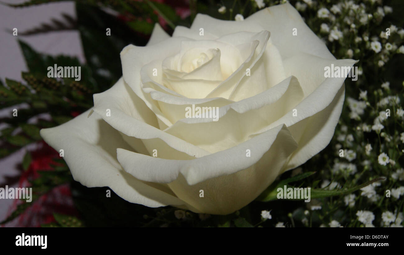 Natural flowers bunch Stock Photo - Alamy