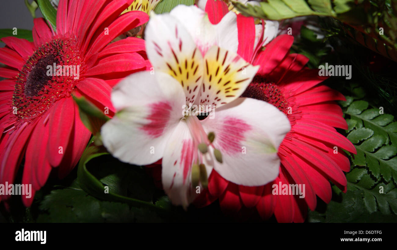 Natural flowers bunch Stock Photo - Alamy