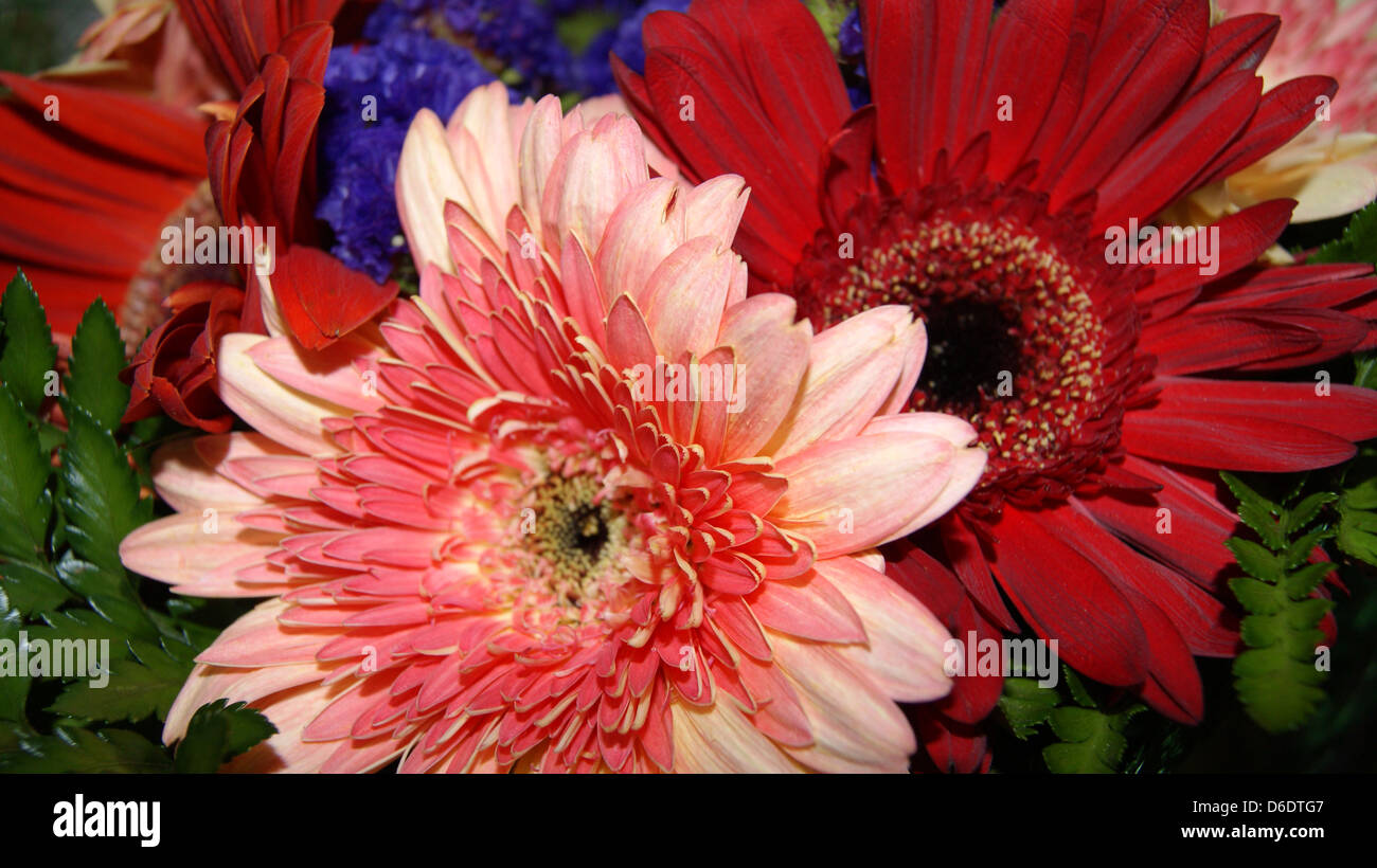 Natural flowers bunch Stock Photo - Alamy