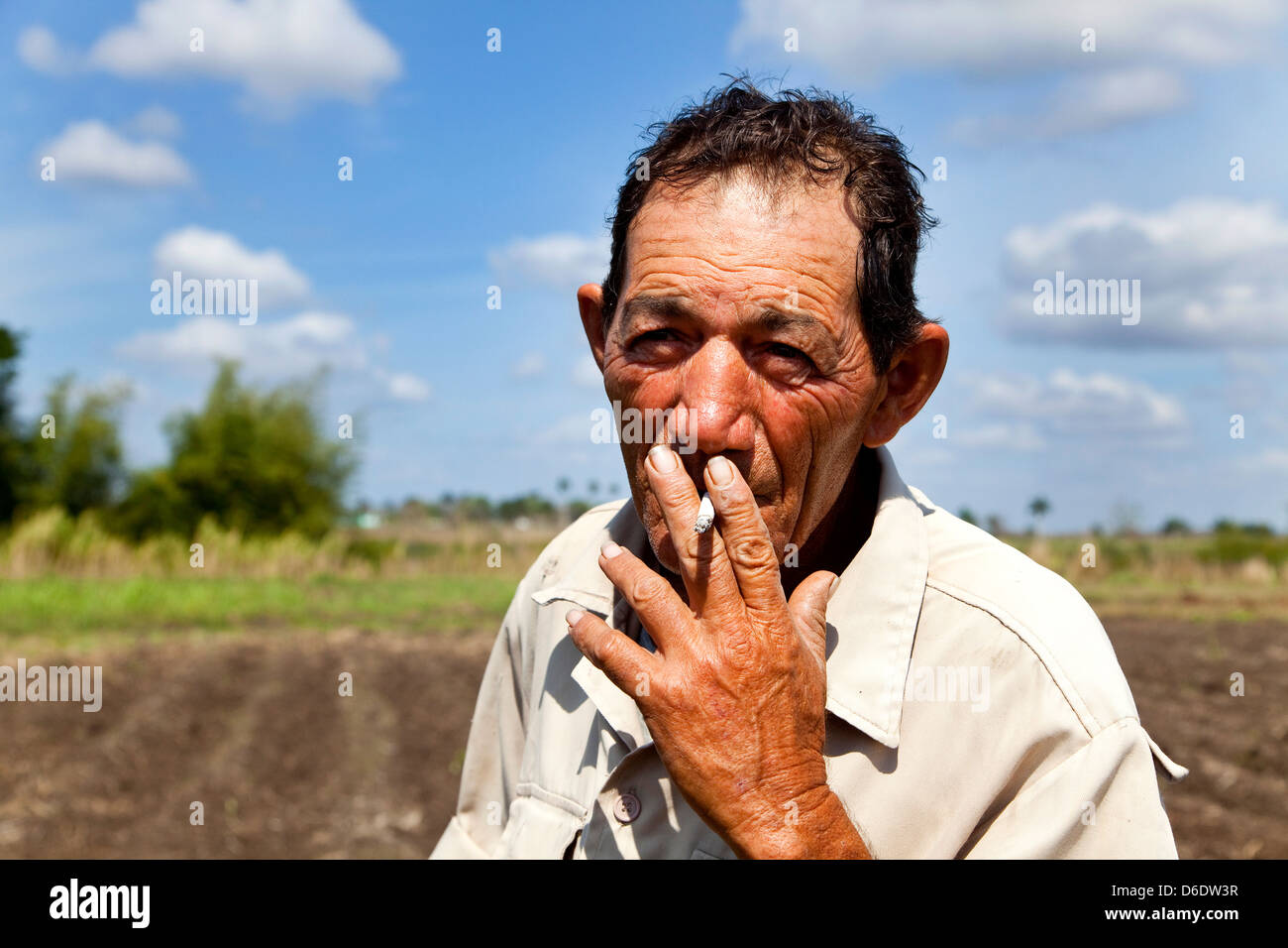 Farmers, peasant, people and Cuban man at work in farm field. ANAP ...