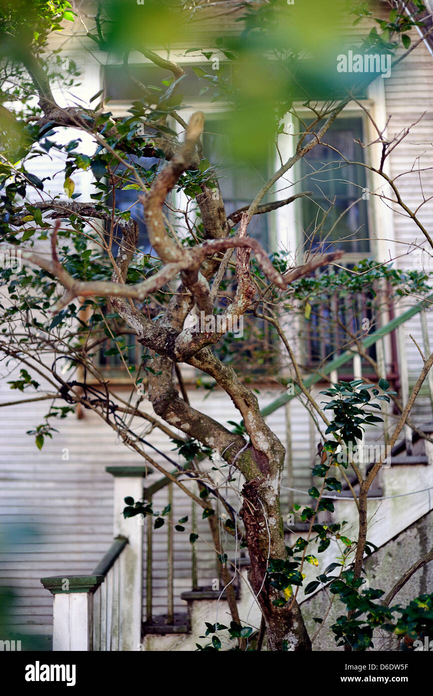 Wooden hidden hi-res stock photography and images - Alamy