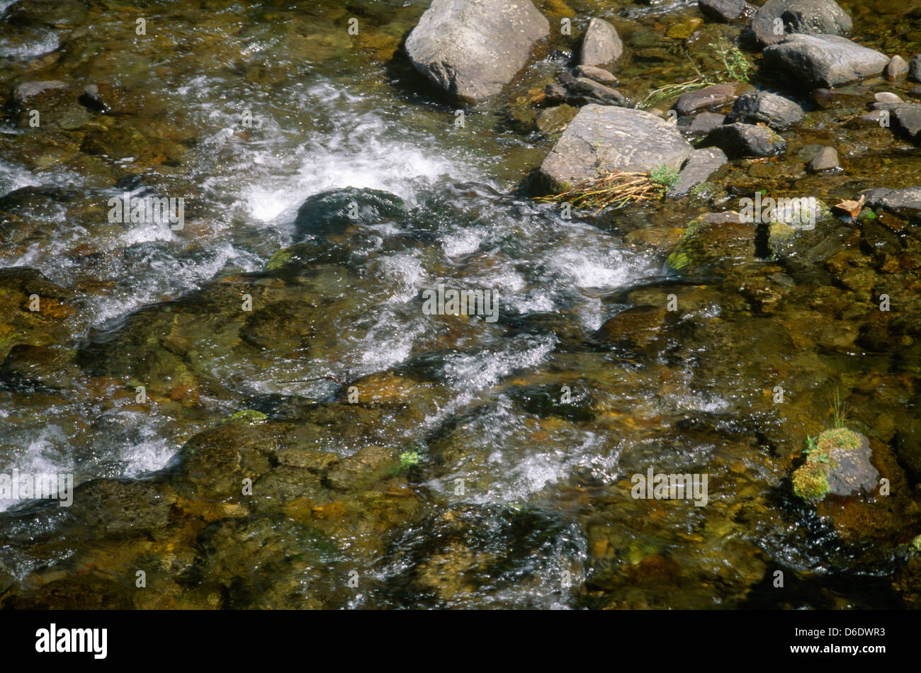 Flowing Stream & Bubbling Spring Stock Photo - Alamy