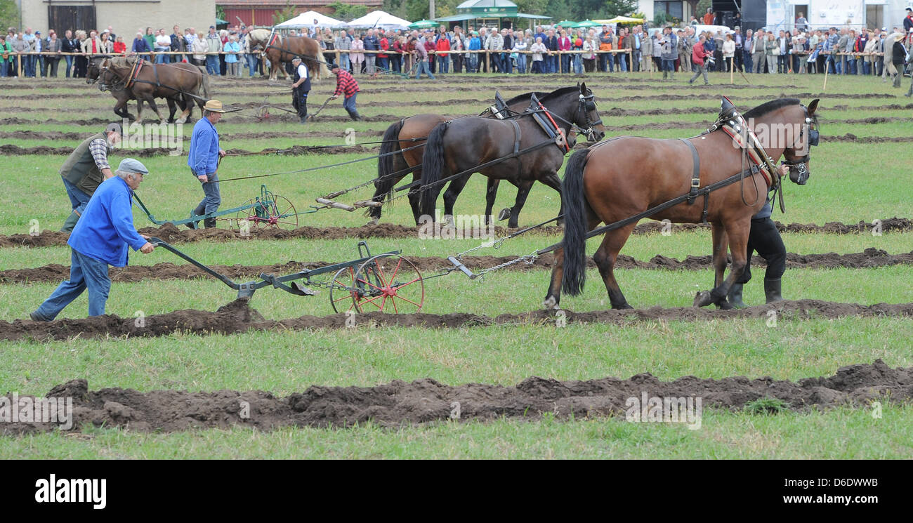 Farmers plow a straight line during the 2nd east German championships ...