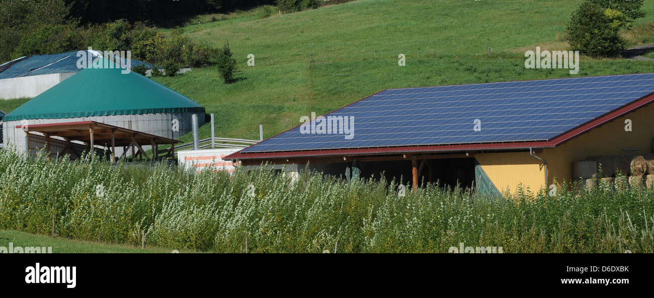A small biogas plant rises above the green gras of a farming meadow in ...