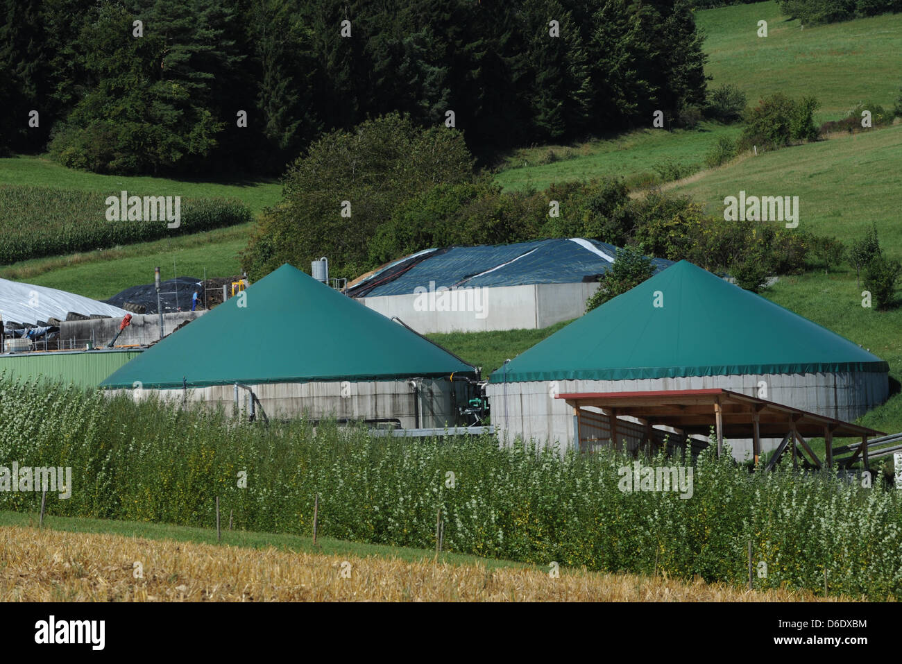 A small biogas plant rises above the green gras of a farming meadow in ...