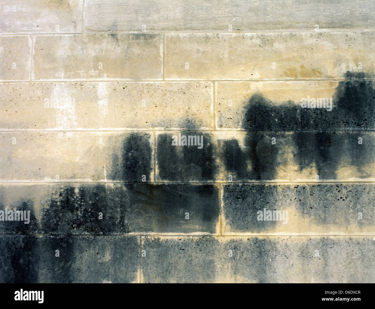 Paris France Tuilleries Stone brick Wall Stock Photo - Alamy