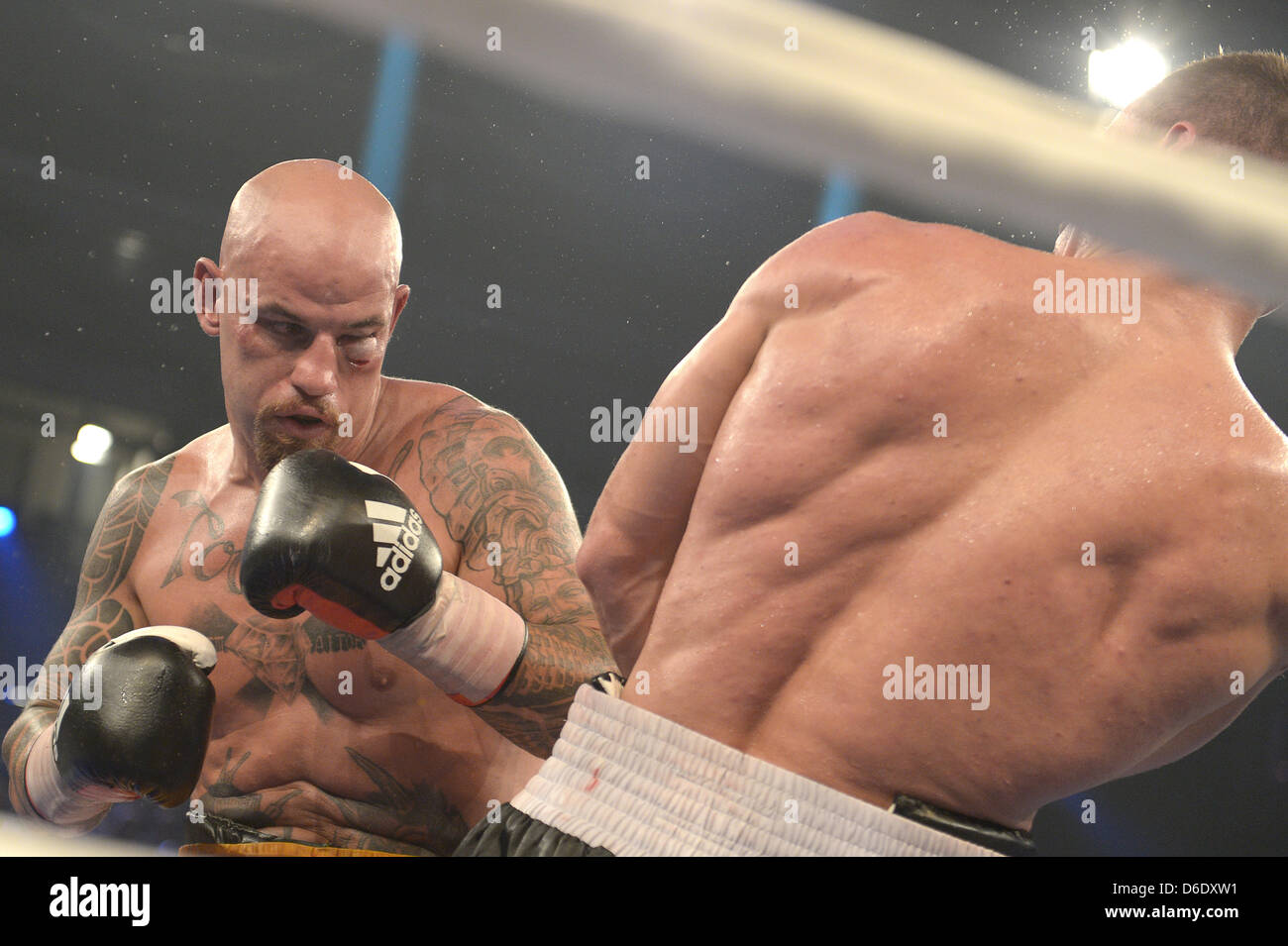 Spanish cruiserweight boxer David Quinonero (L) fights with Polish ...