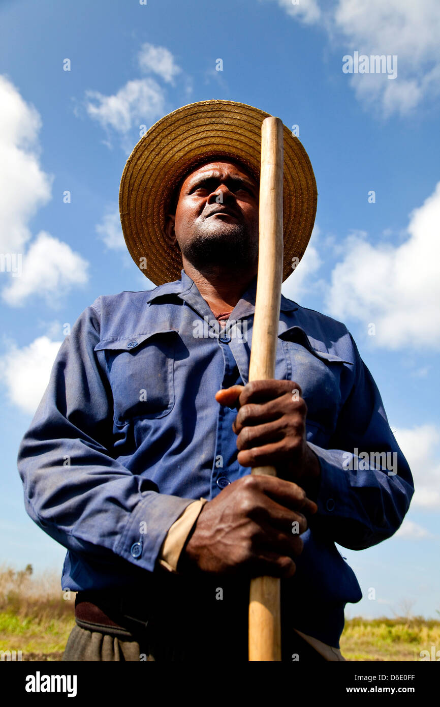 Portrait of Cuban man at work as farmer holding tool, ANAP cooperative ...