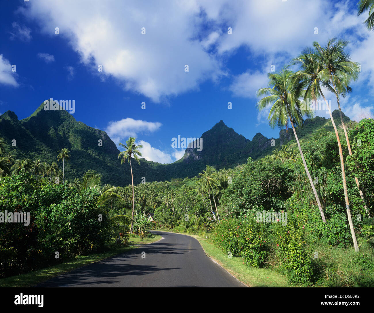 French Polynesia, Society Islands, Windward Islands, Moorea, idyllic ...