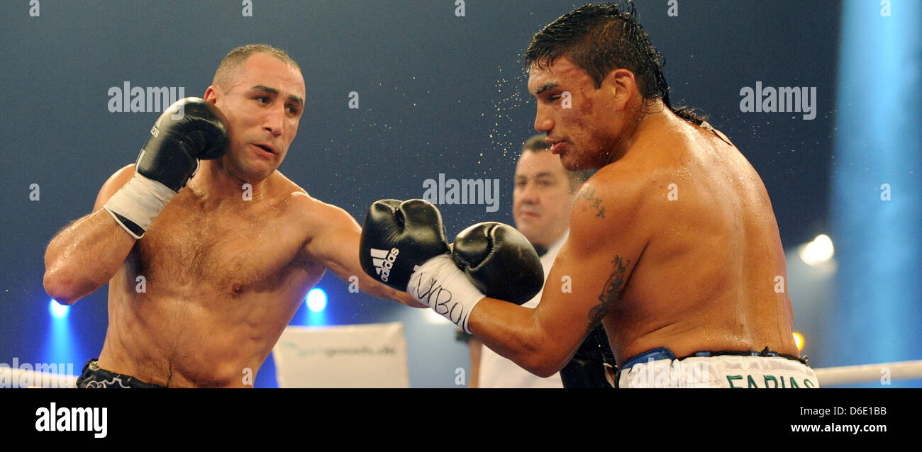 German boxer Arthur Abraham (L) fights with Argentine boxer Pablo Oscar ...