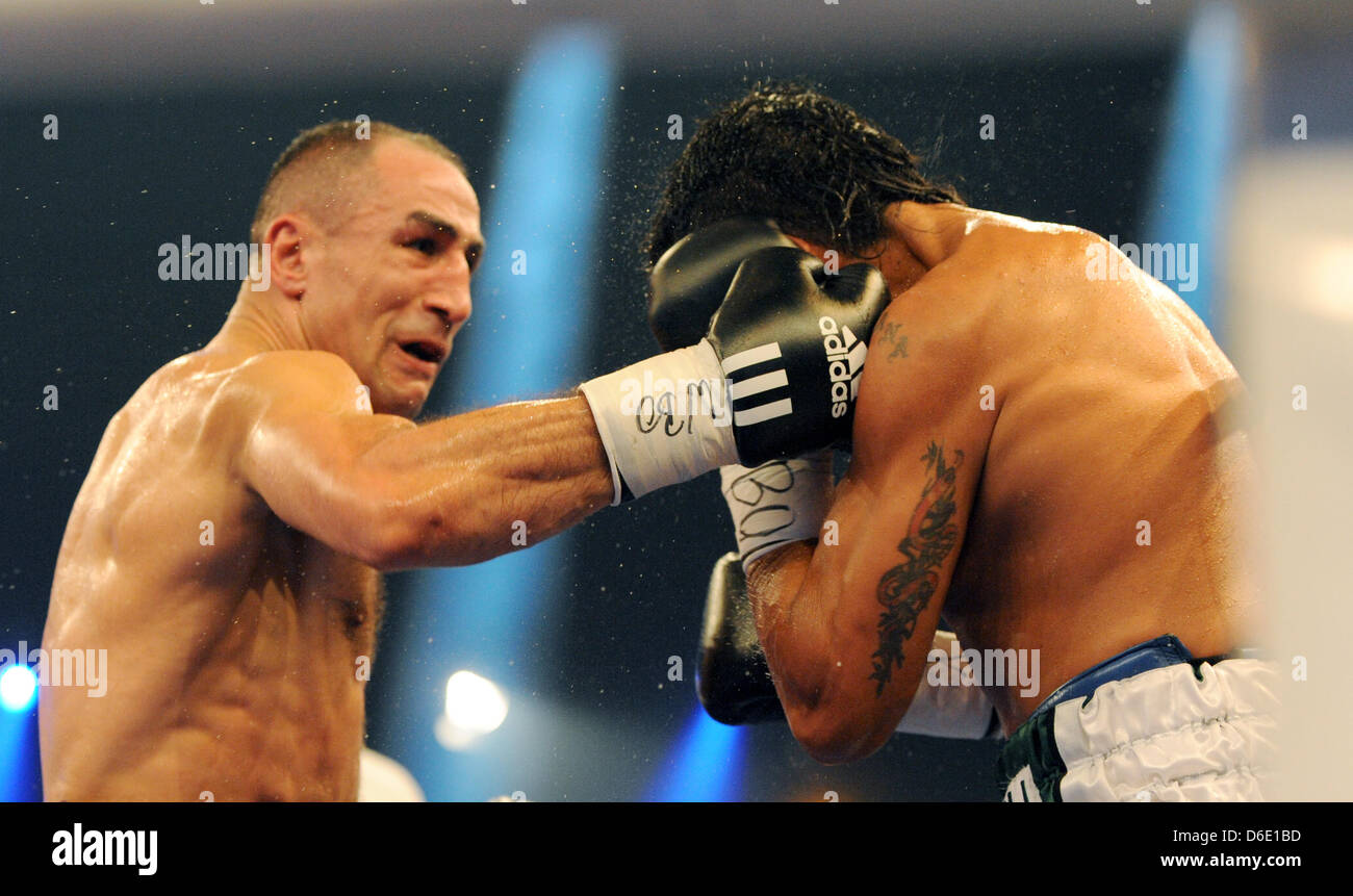 The argentine boxer hi-res stock photography and images - Alamy