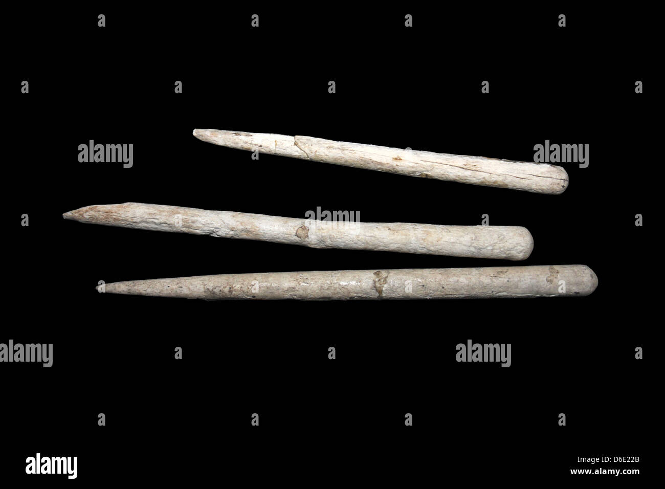 Late Neolithic Bone Pins Found With Three Infant Burials Stock Photo ...