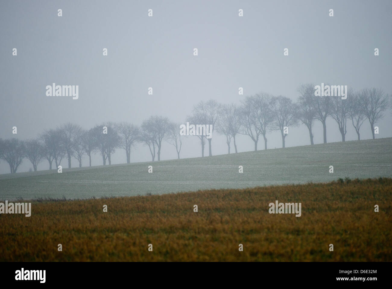 Muencheberg hi-res stock photography and images - Alamy