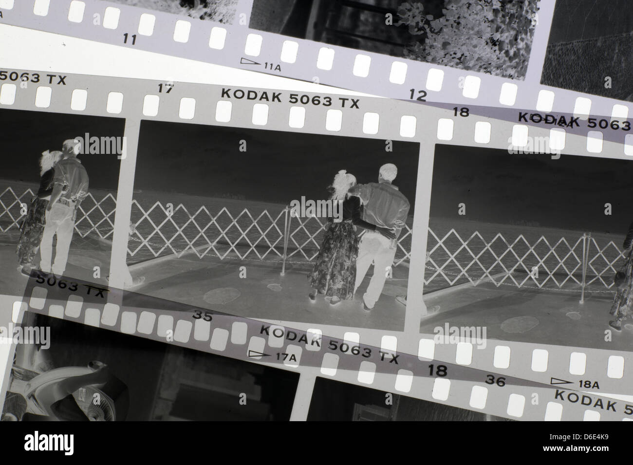 Developed black and white negative films of the company Kodak lie on a ...